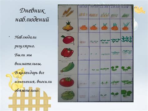 Образец дневник наблюдений за растениями Фотоподборки 1