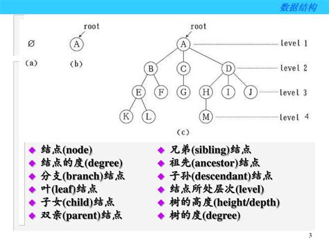 Ppt 树的概念 二叉树 Binary Tree 二叉树的存储 二叉树遍历 Binary Tree Traversal 树与森林