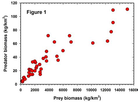 On Log Log Regressions Ecological Rants