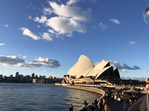 Unsw Vs Usyd Which One Is Better