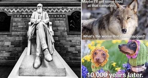 Survival Of The Funniest Simply 19 Of Our Favourite Funny Evolution