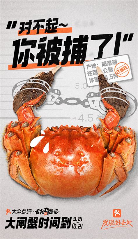 大众点评 舌尖奇遇记