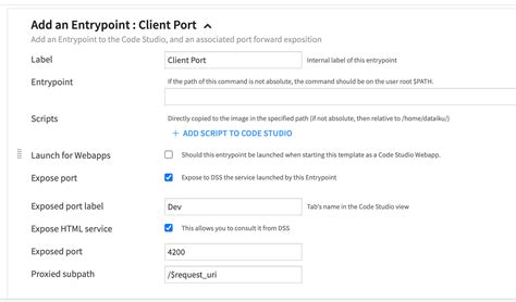 Basic Setup Code Studio Template Dataiku Developer Guide