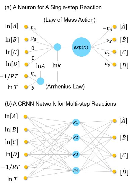 Schematic Of The Chemical Reaction Neural Network Illustrated For A Download Scientific Diagram