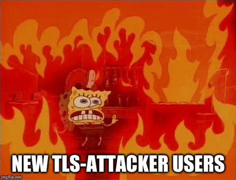 On Web Security And Insecurity Playing With Tls Attacker
