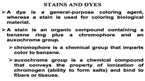 Identification Of Bacteria Using Staining Techniques Pptx