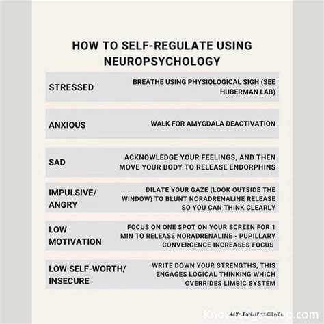 How To Self Regulate Using Neuropsychology 🥷 Knowledge Ninja