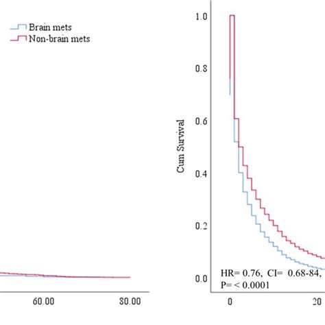 A Km Curve Difference Comparing Heart‐specific Death Patients In The