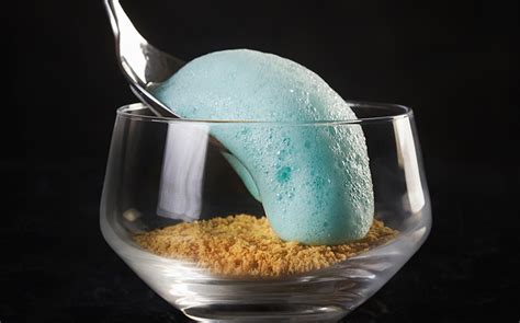 Molecular Gastronomy Foam