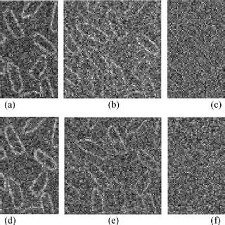 Results Of The Edge Detection Of Object Rice With Different Download Scientific Diagram