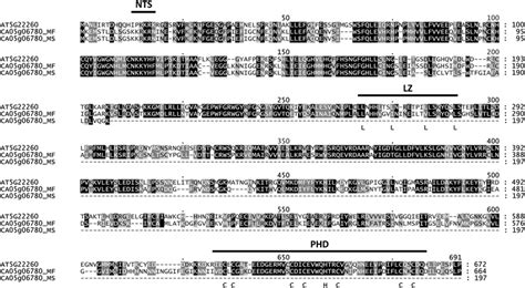 Alignment Of Amino Acid Sequences Of Arabidopsis Ms1 At5g22260 And C