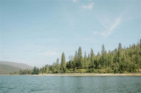 밝고 푸른 하늘 아래 물과 숲 사진 Unsplash의 여행하다 이미지