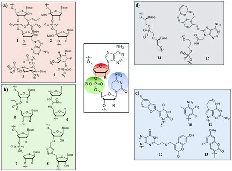 Selected Recent Examples Of Chemical Modifications Introduced In Download Scientific Diagram