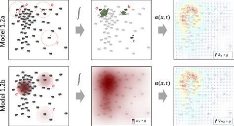 Figure From Biological Modelling With Nonlocal Advection Diffusion Equations Semantic Scholar