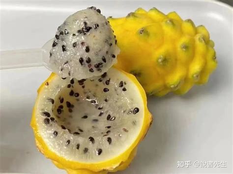 水果派对之燕窝果 知乎