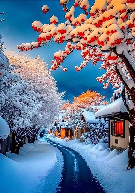 傲雪笑寒 偷得富盛半日闲 junyin2001