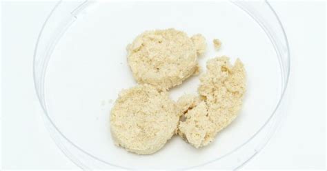 Discover Larval Therapy Biomonde