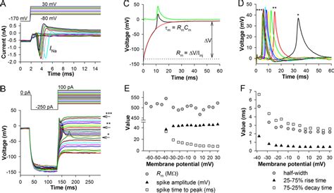Fast Sodium Spikes In Current Clamp Experiments A Example Of Voltage Download Scientific