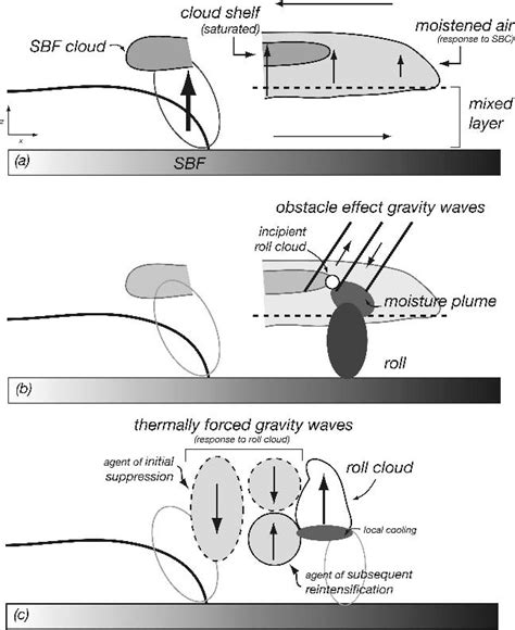 Schematic Depiction Of Sbc And Roll Related Influences Leading To Deep