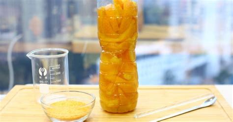 廚餘酵素工作坊 製作環保清潔液