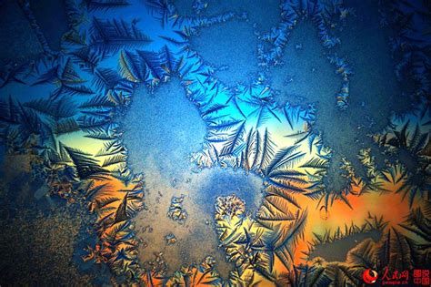 추운 겨울 유리에 맺힌 예술품 화려하고 신비로운 얼음꽃 3