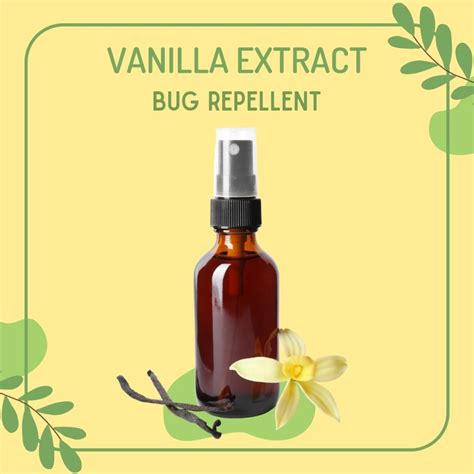 Vanilla Extract Bug Repellent Nature S Bug Shield