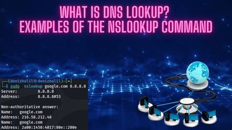 What Is Dns Lookup