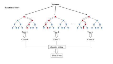 Machine Learning Random Forest Algorithm Showwcase
