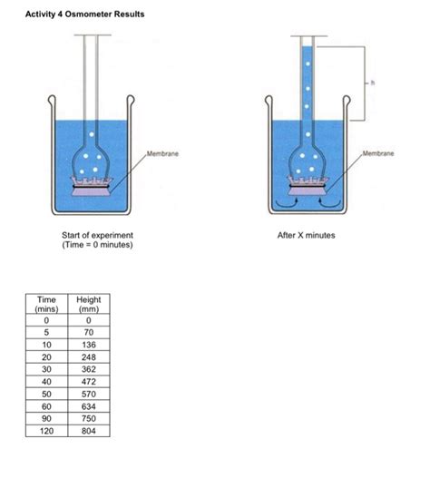 Solved Draw A Graph To Illustrate The Osmomter Data In