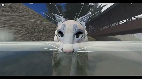 Prey Update In Wcue Youtube