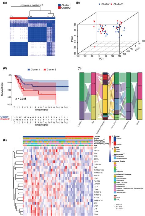 Identification Of Subtypes In Osteosarcoma A Two Groups Of Clusters Download Scientific
