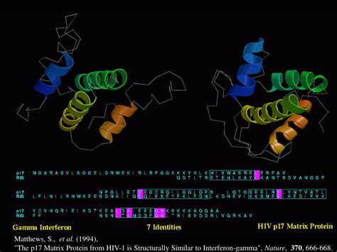 Ppt Bioinformatics And Computational Molecular Biology Geoff Barton