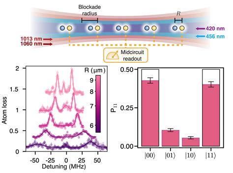 Hannes Bernien Labs Dual Species Rydberg Array Paper