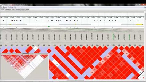 Association Mapping Using Plink Software Youtube Association Mapping Using Plink Software Youtube