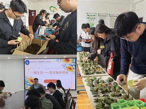 【心理健康教育月系列活动】我校成功举办绿植领养活动 山东科技大学新闻网