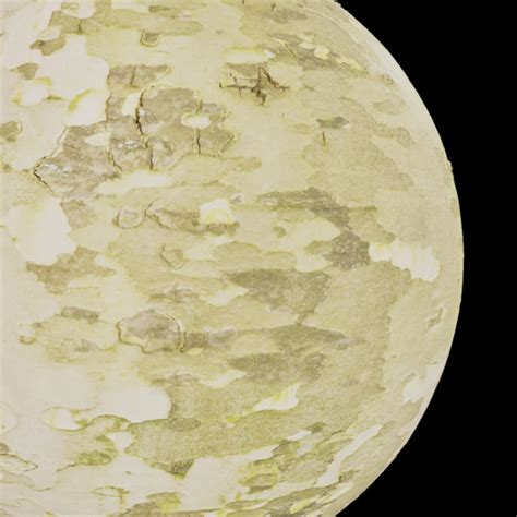 Bark Seamless Texture Patterns 2k 20482048 By Model789