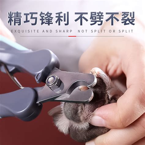 狗狗指甲剪宠物指甲钳中大型犬神器犬用猫剪刀专用猫咪金毛指甲刀 虎窝淘