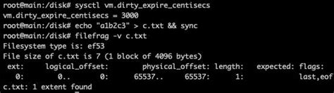 Ext4文件系统延迟分配脏数据块linux小助理 Linux