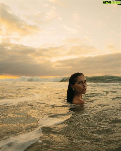 Priscilla Quintana Wiki Biography Age Gallery Spouse And More