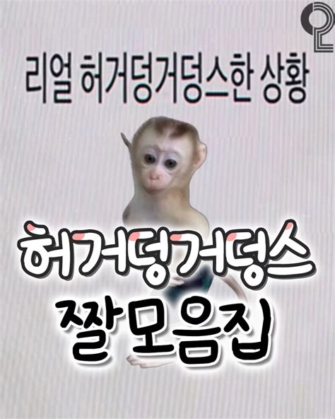 20대 뭐 하지 에 쓰는 쓰기좋은 허거덩거덩스 짤 모음ㅋ 요즘 애들은 헐 대박 말고 허거덩거덩스라고 말한대 ㄷㄷ 자자 저장해서 쓰쇼들~ㅋ 허거덩스거덩스 짤 만드는
