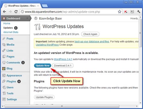 Securing Your Wordpress Script Website