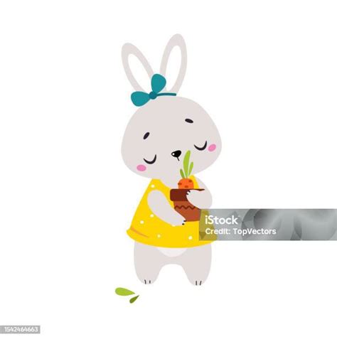 귀여운 토끼 캐릭터가 성장하는 당근 자르기 벡터 삽화와 함께 냄비를 들고 있다 계절에 대한 스톡 벡터 아트 및 기타 이미지