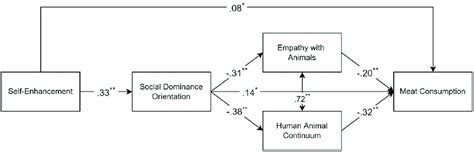 Path Model Of The Relations Between Interpersonal Intergroup And Download Scientific Diagram