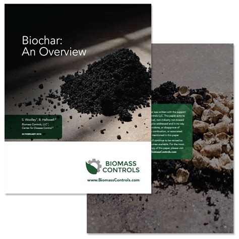 Biochar Overview Biomass Controls