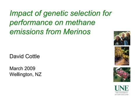 Methane In Sheep Ppt