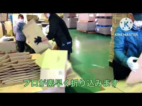 福岡のダンボール製品製造会社 ダンボール紙工ワンタッチ箱ダンボール箱工場見学 YouTube