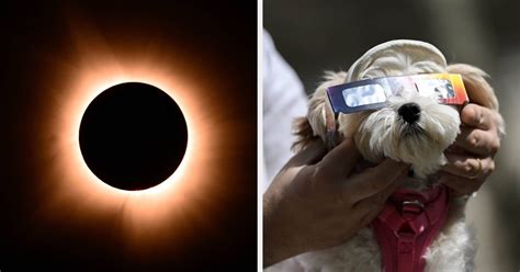 Photos Of The Total Solar Eclipse And Crowds Gathering Across North America