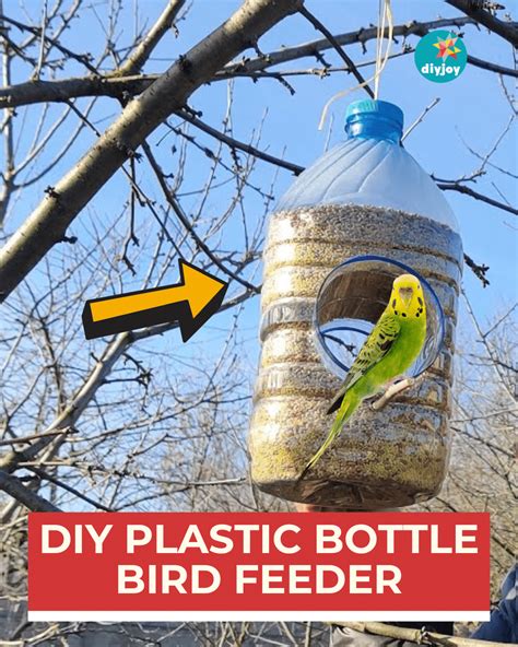 Diy Plastic Bottle Bird Feeder Diy Joy