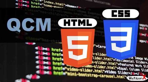 Qcm Html Css Partie 1 Waytolearnx