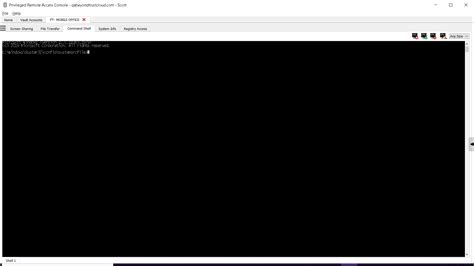 open command shell on the remote endpoint in the access console
